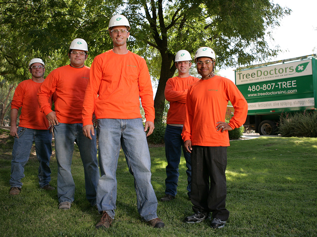 Tree Doctors | Arizona tree service, Arizona tree trimming, Arizona ...